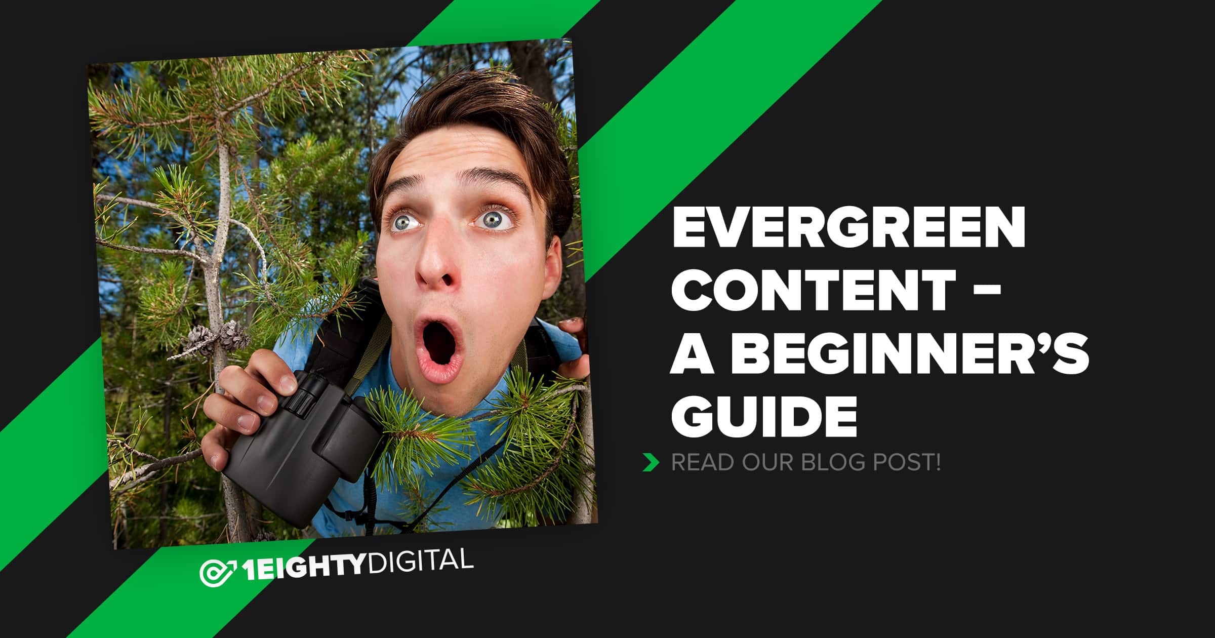 A Beginner’s Guide to Evergreen Content | 1Eighty Digital